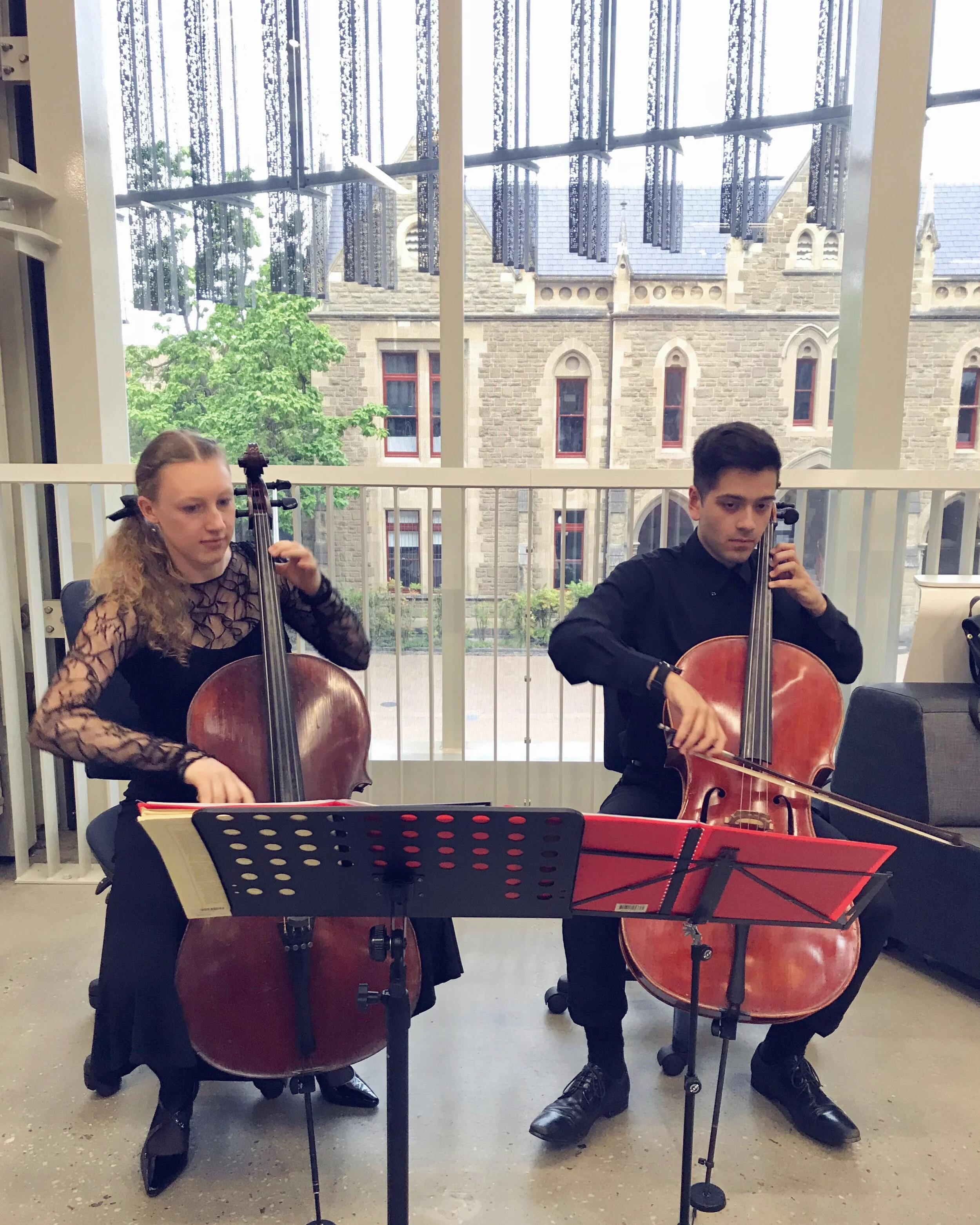 Melbourne's Best Violinist for Hire - LES | artist-bookings.com - 0428 ...