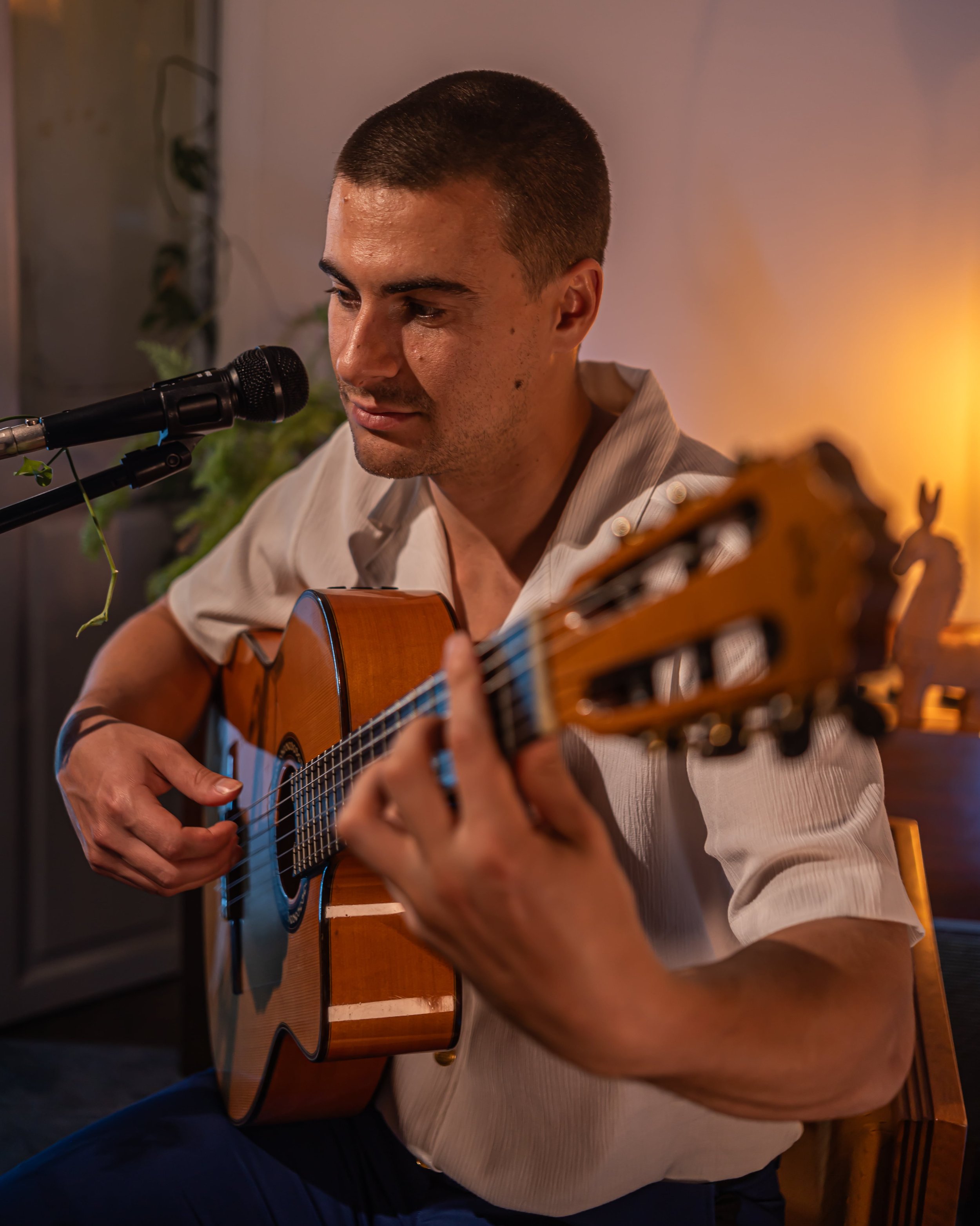 Book BRISBANE SOLO AND DUO ARTISTS Brisbane | artist-bookings.com ...