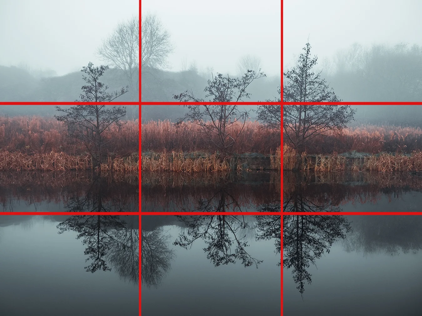 The Rule Of Thirds in Photography: What, Why, and when to break it ...