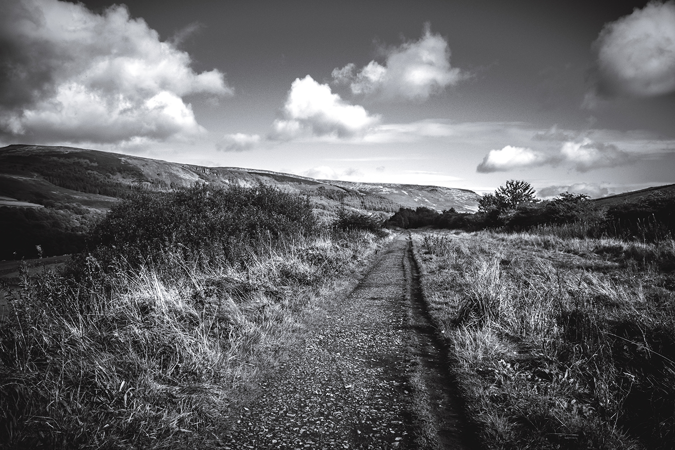 Olympus Pen F Review in 2019. Still a contender? — Micro Four Nerds