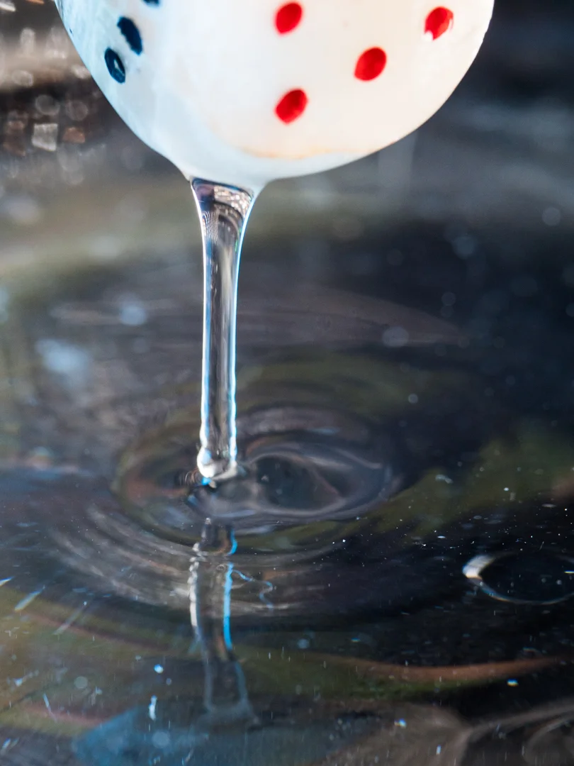 Olympus 60mm f2.8 Macro review // photo examples — Micro Four Nerds