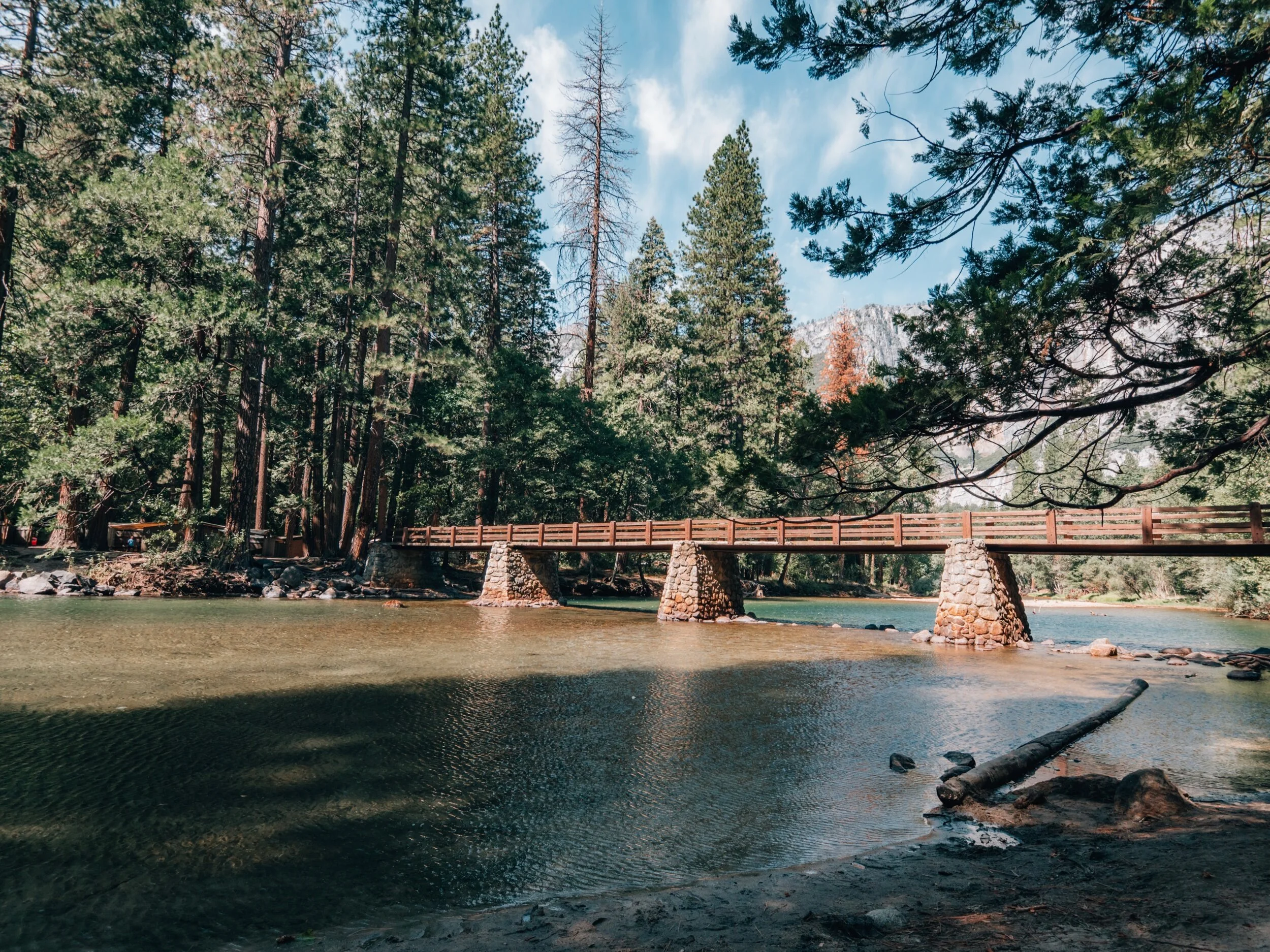 American Road Trip - part #1 — Sequoia National Park and Yosemite ...