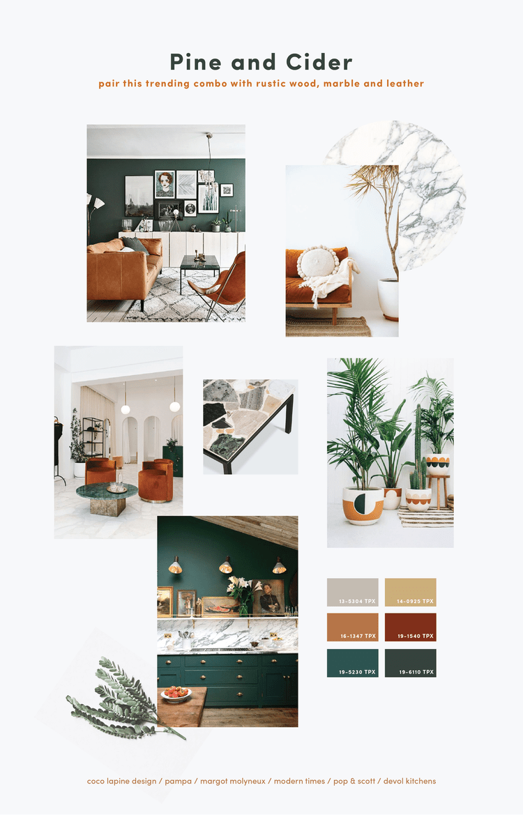 Pattern Curator COLOR COLLECTIVE