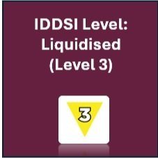 IDDSI Chart Levels Download — Roche Dietitians