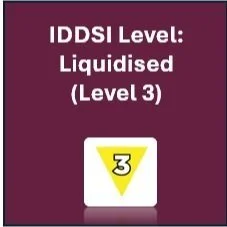IDDSI Chart Levels Download — Roche Dietitians