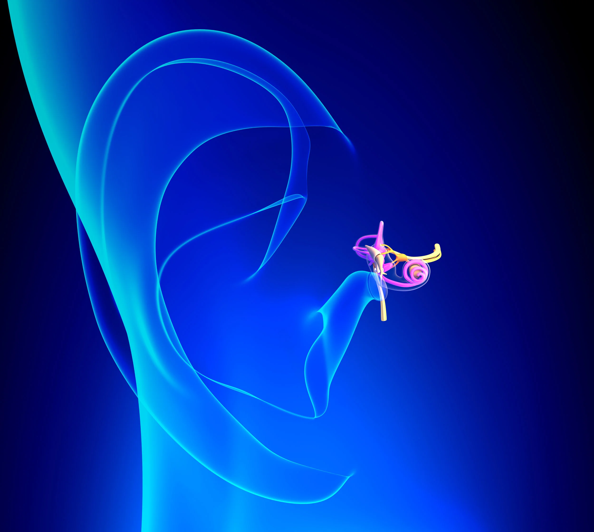 New Method Tested To Repair Inner Ear Damage Sound Hearing Care