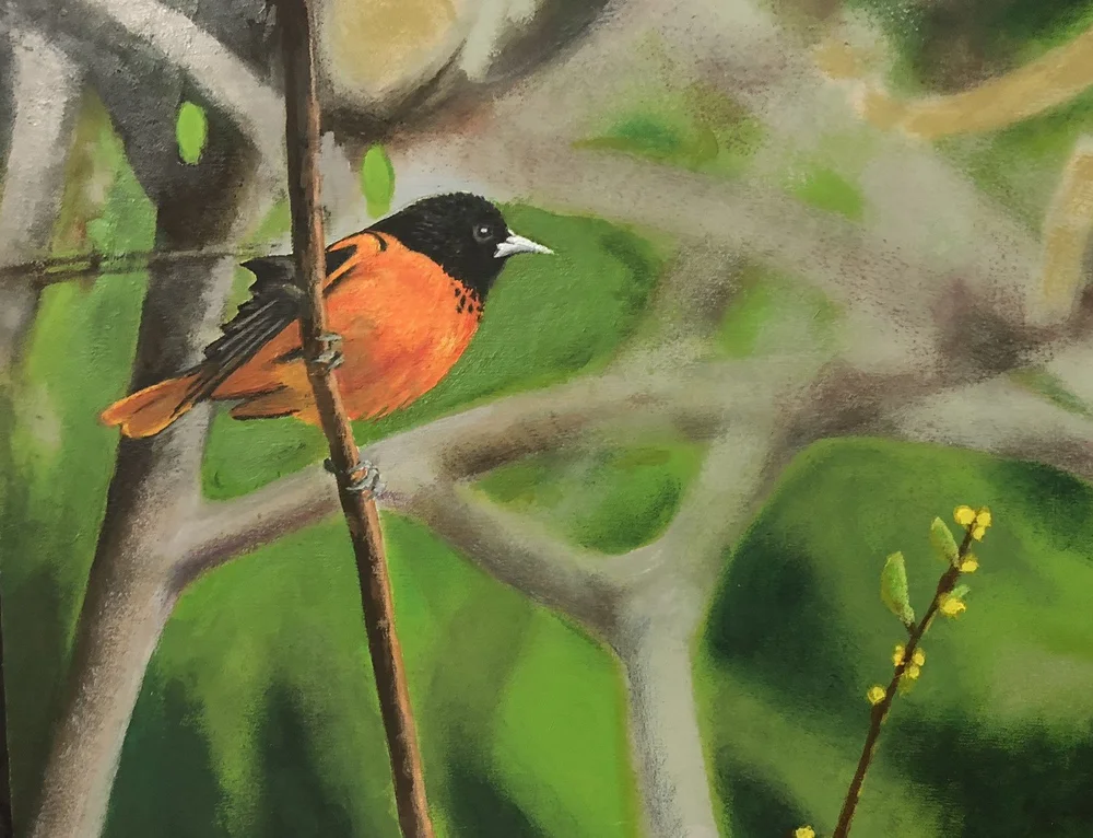 Fine Art Programs — Ontario Dance Academy