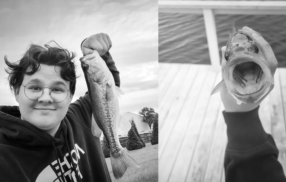 Isaac Warren — LA+D