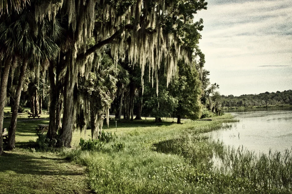 Discovery Writing — Kendra Patterson