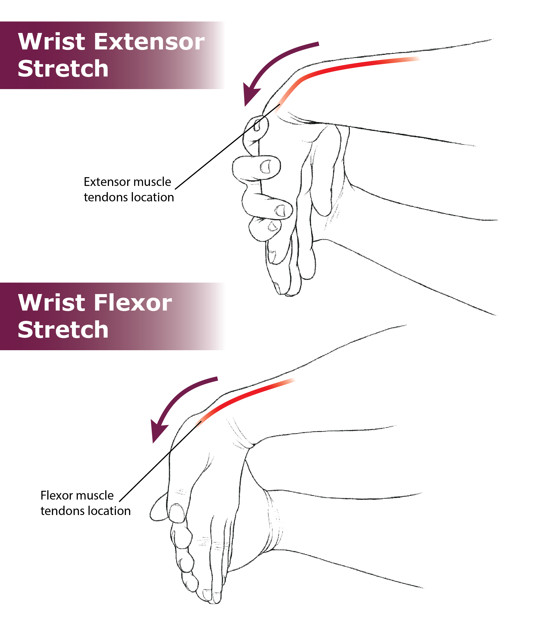 Portfolio — Emmalynn Todd