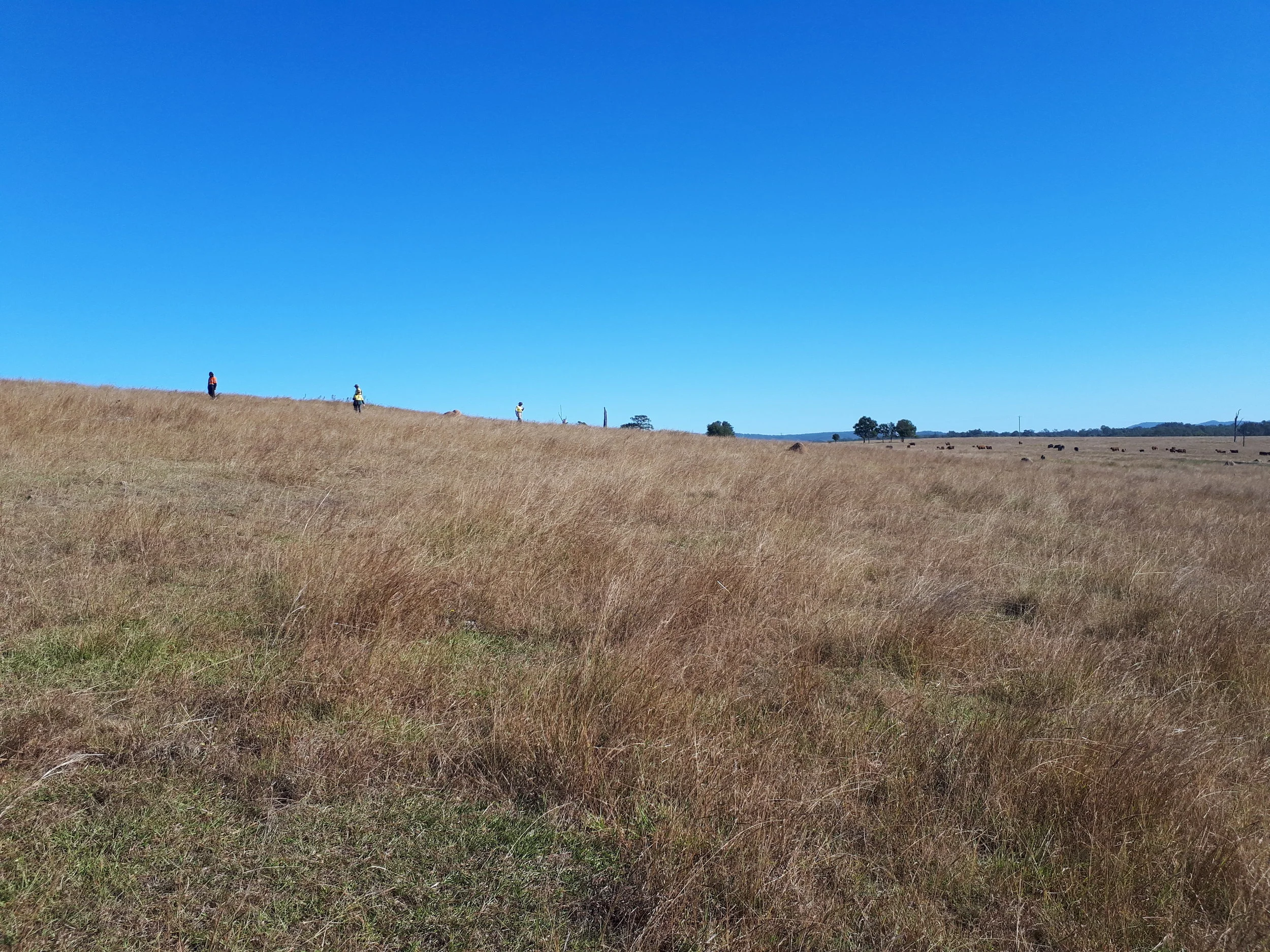 Cultural Heritage — Yugambeh Native Title and Cultural Heritage Services