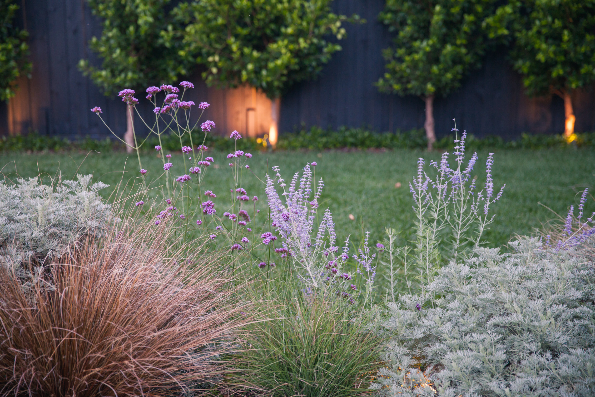 Malvern East — Bespoke Landscapes