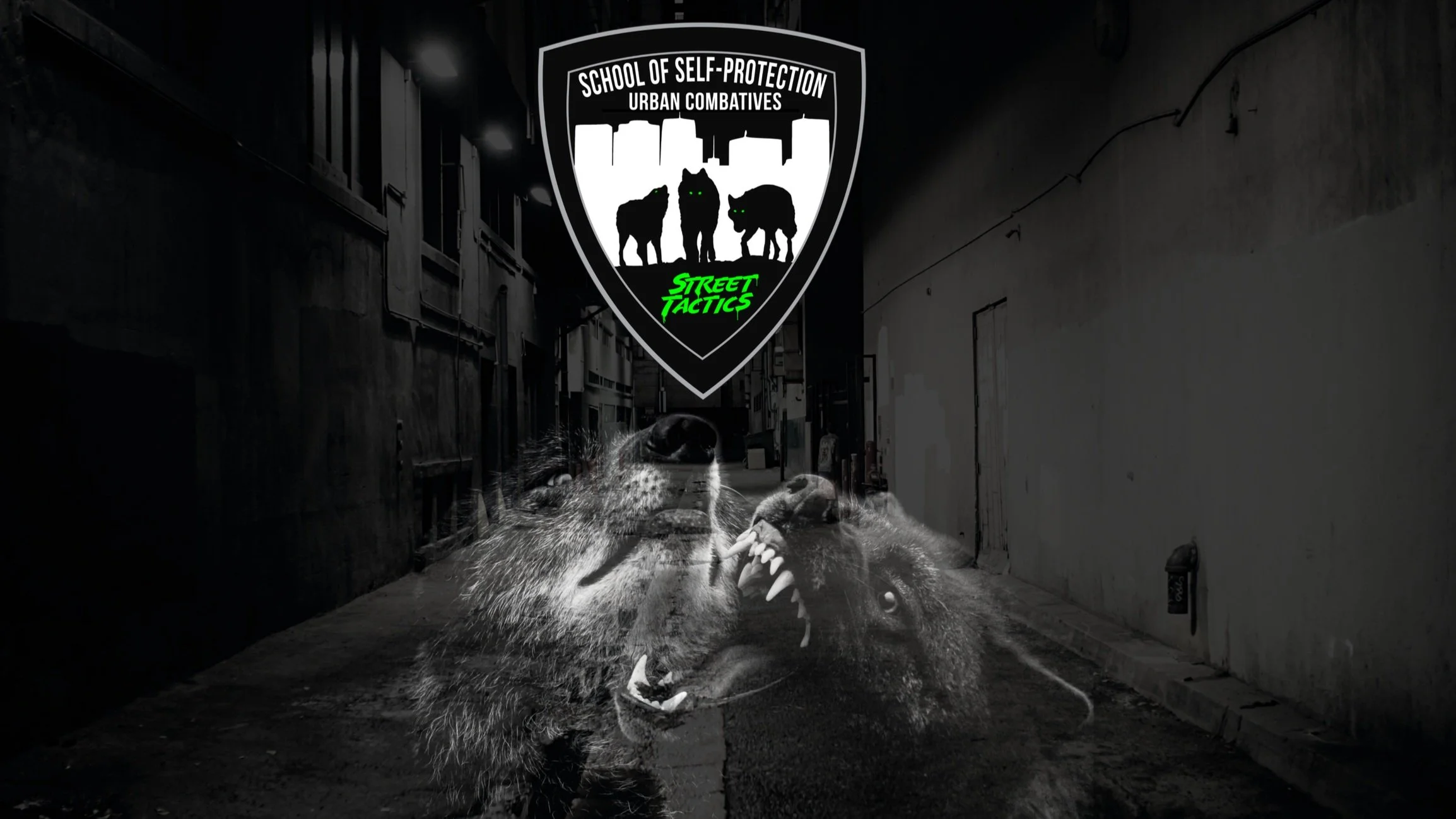 Seminars — Urban Combatives School of Self-Protection