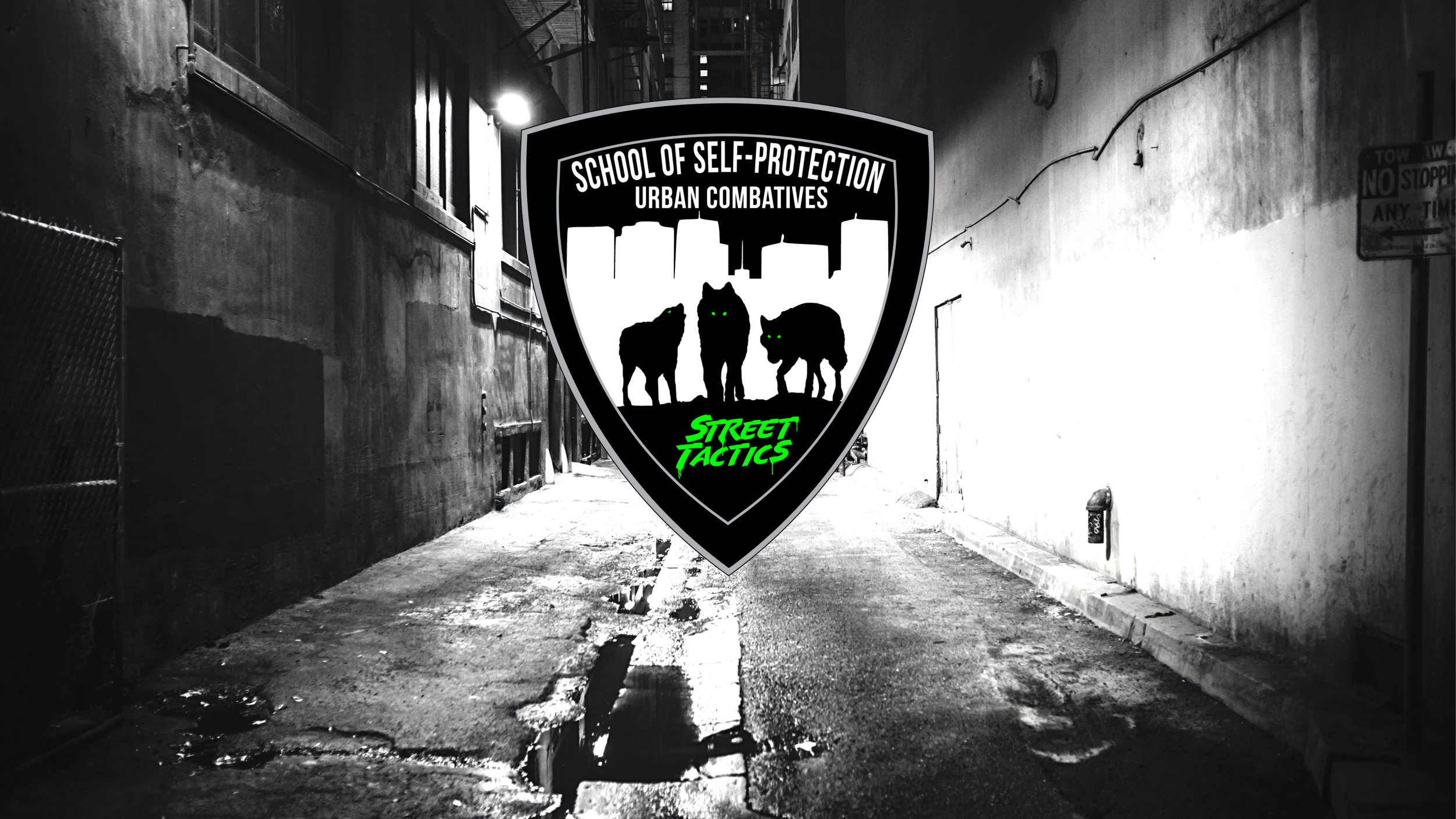 Urban Combatives Netherlands — Urban Combatives School of Self-Protection