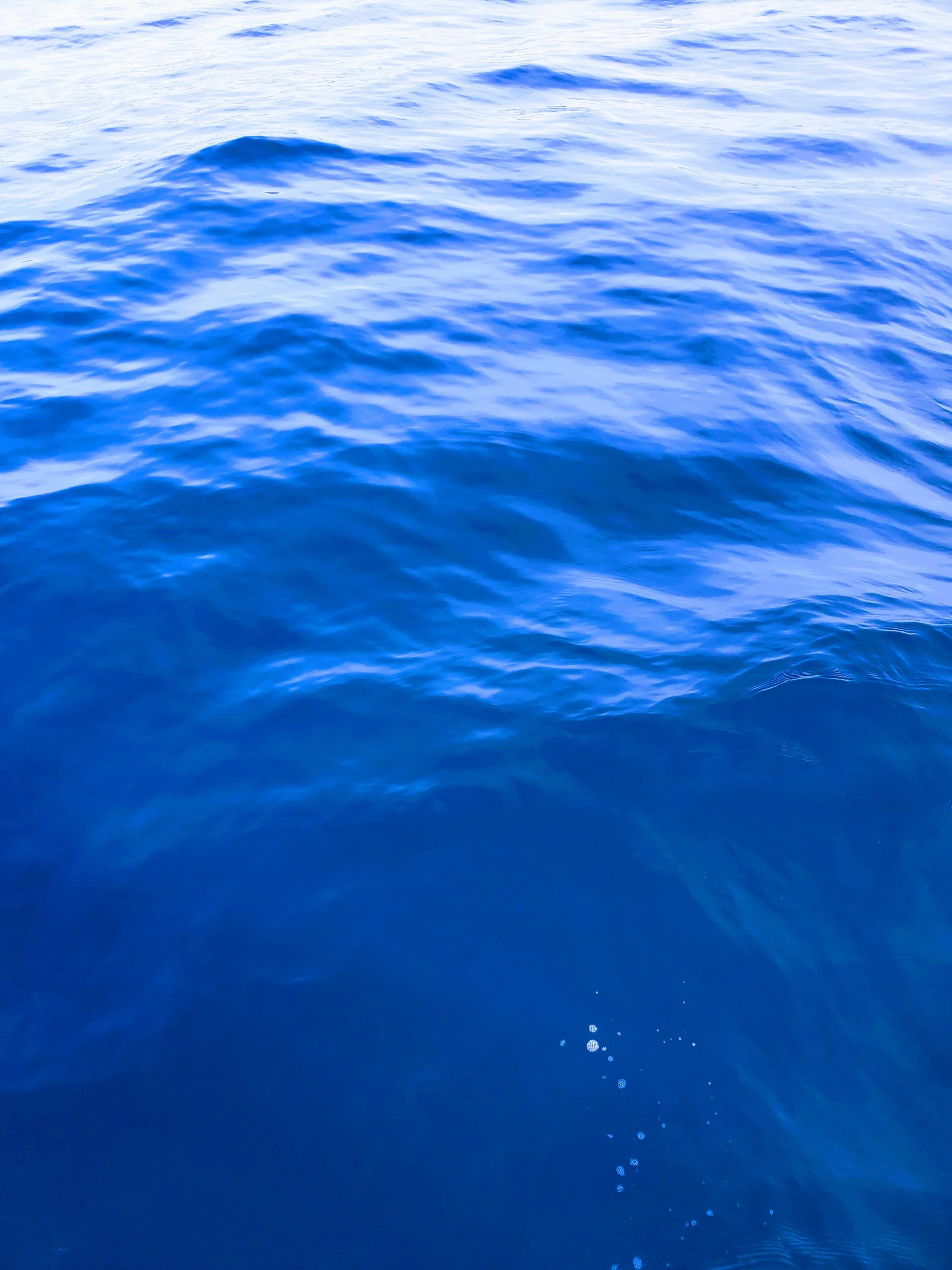 Pure Pelagic — Blue Marlin Sea Salt