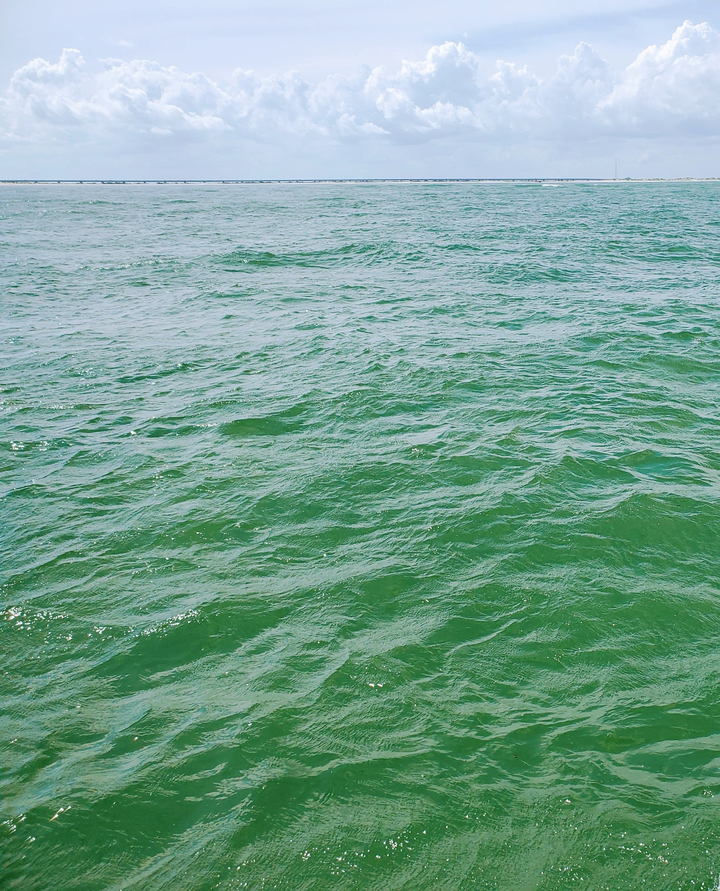 Pure Pelagic — Blue Marlin Sea Salt