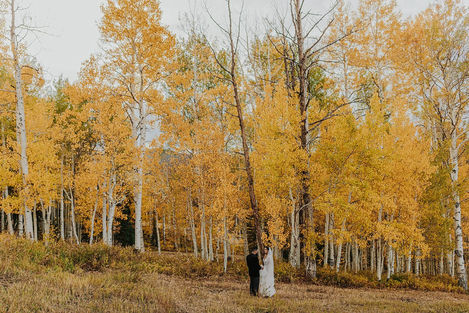 A Golden Autumn Wedding at Lynn Britt Cabin in Snowmass, Colorado ...