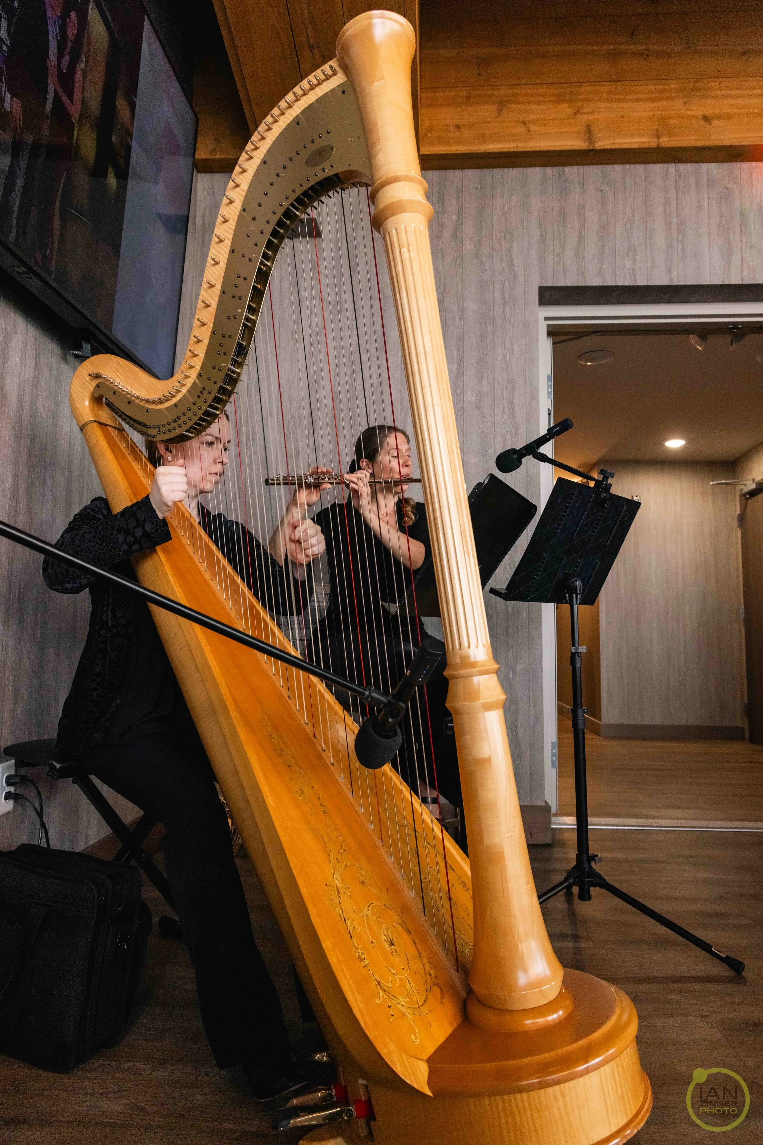 Blog — Flute and Strings by Christen Stephens | Denver and Colorado ...