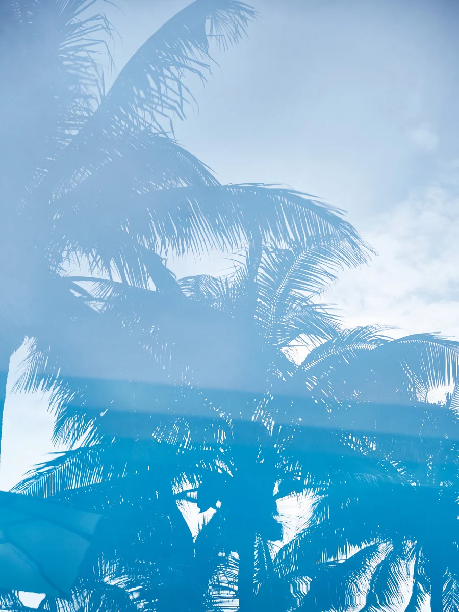 Under the Sun — ATTA Curated