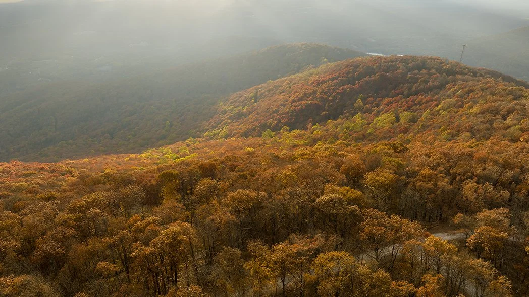 Mountain Home Living: A Guide to Living in Big Canoe, GA — Justin ...