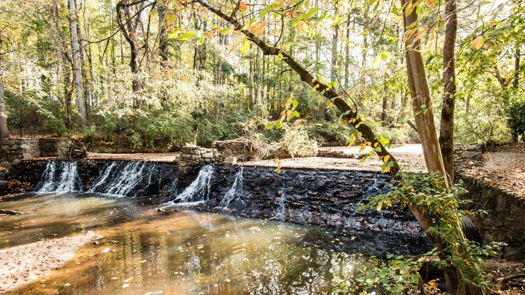 Green Spaces: The Top 10 Parks in Atlanta, Georgia — Justin Landis Group