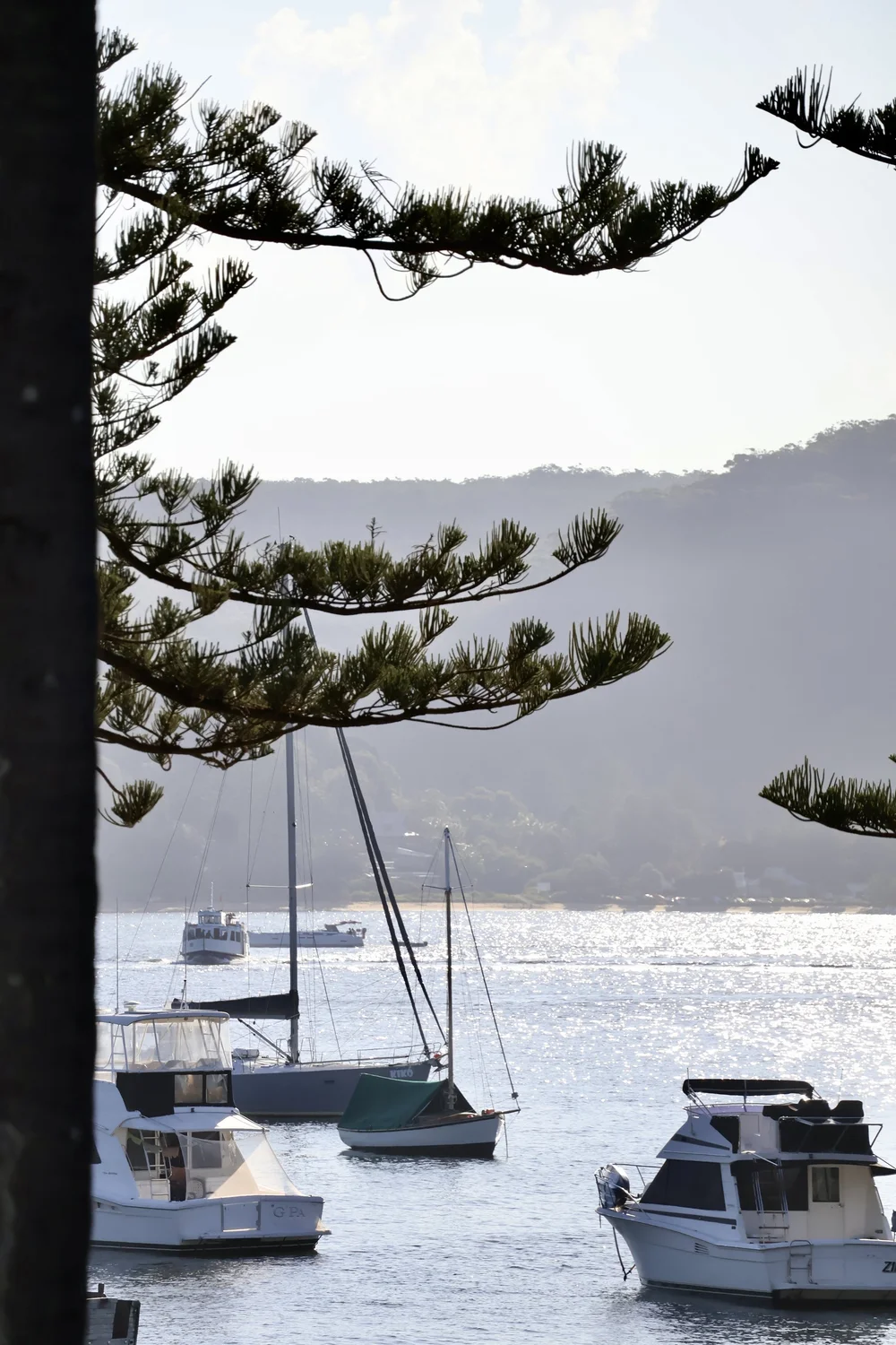 Barrenjoey House Palm Beach