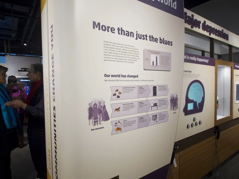 Hall of Human Life Exhibition — Colorbox Industries