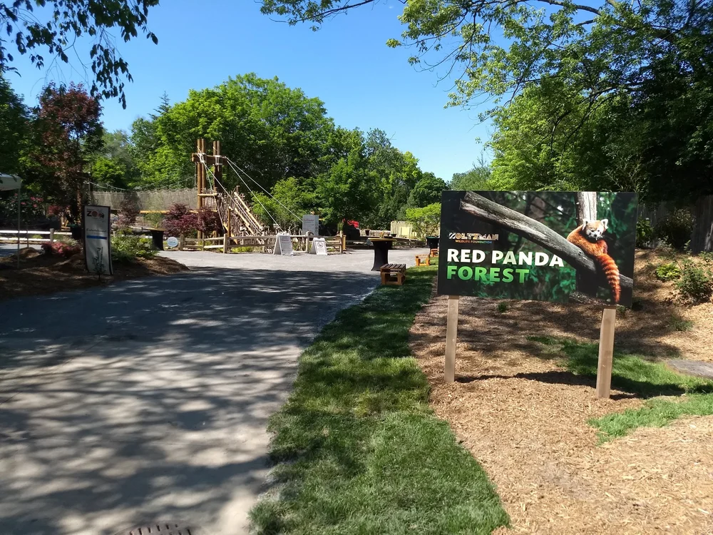 Red Pandas — Colorbox Industries