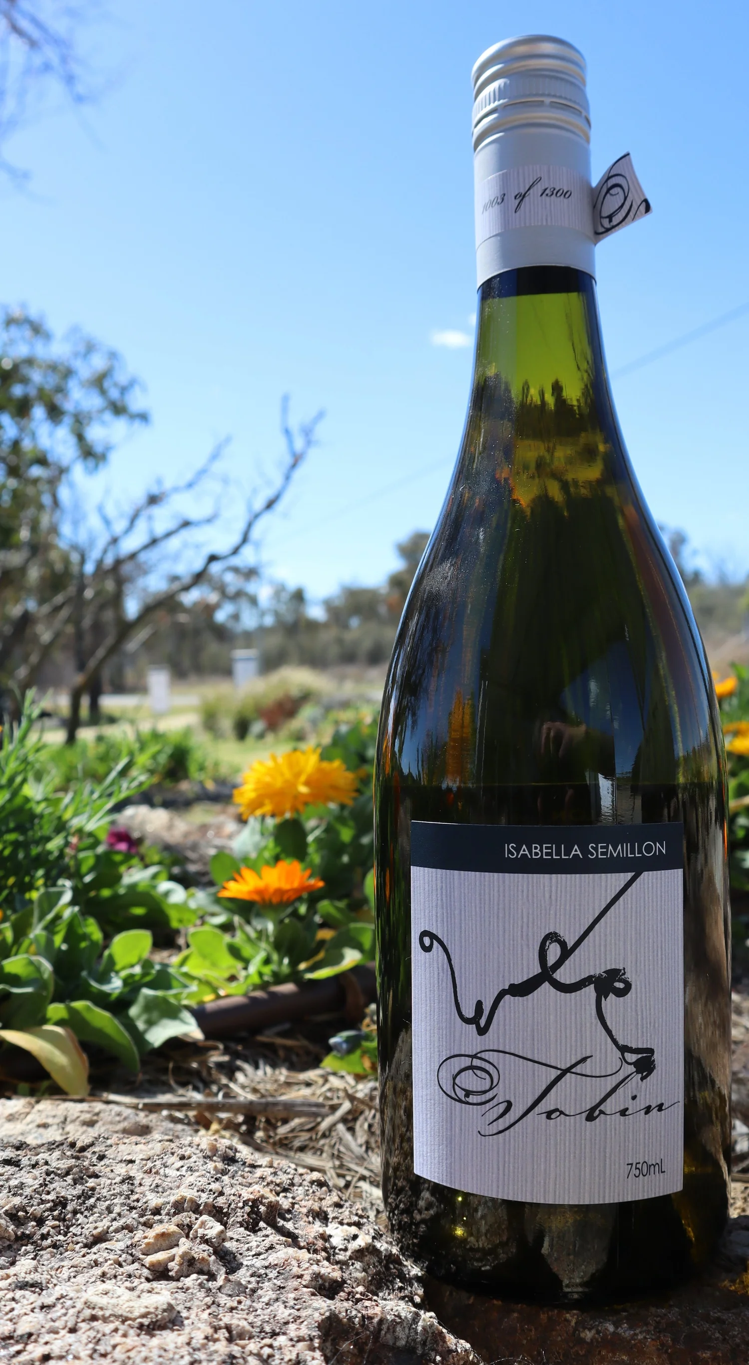 Isabella Semillon — Tobin Wines