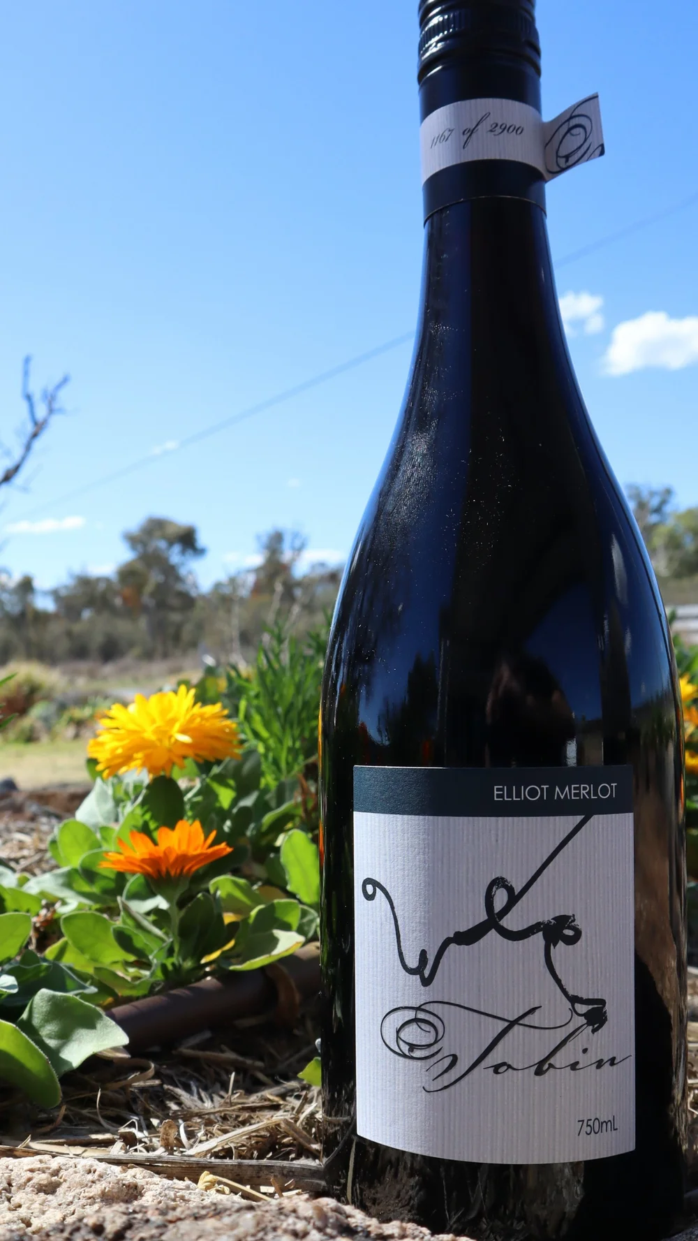 Elliot Merlot — Tobin Wines