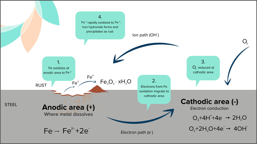 BLOG: World Corrosion Awareness Day 2023 - Understanding Corrosion and ...