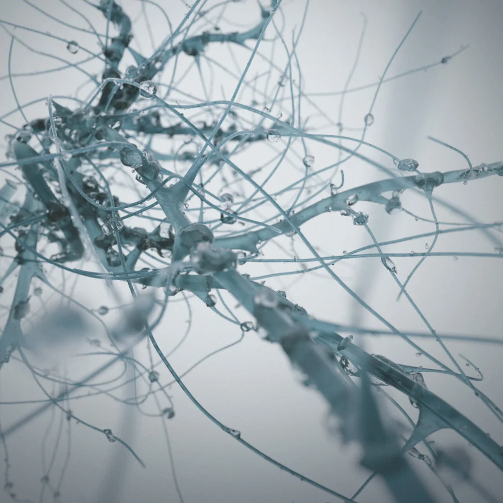 EXPLORATION — Ted Roberts Creative