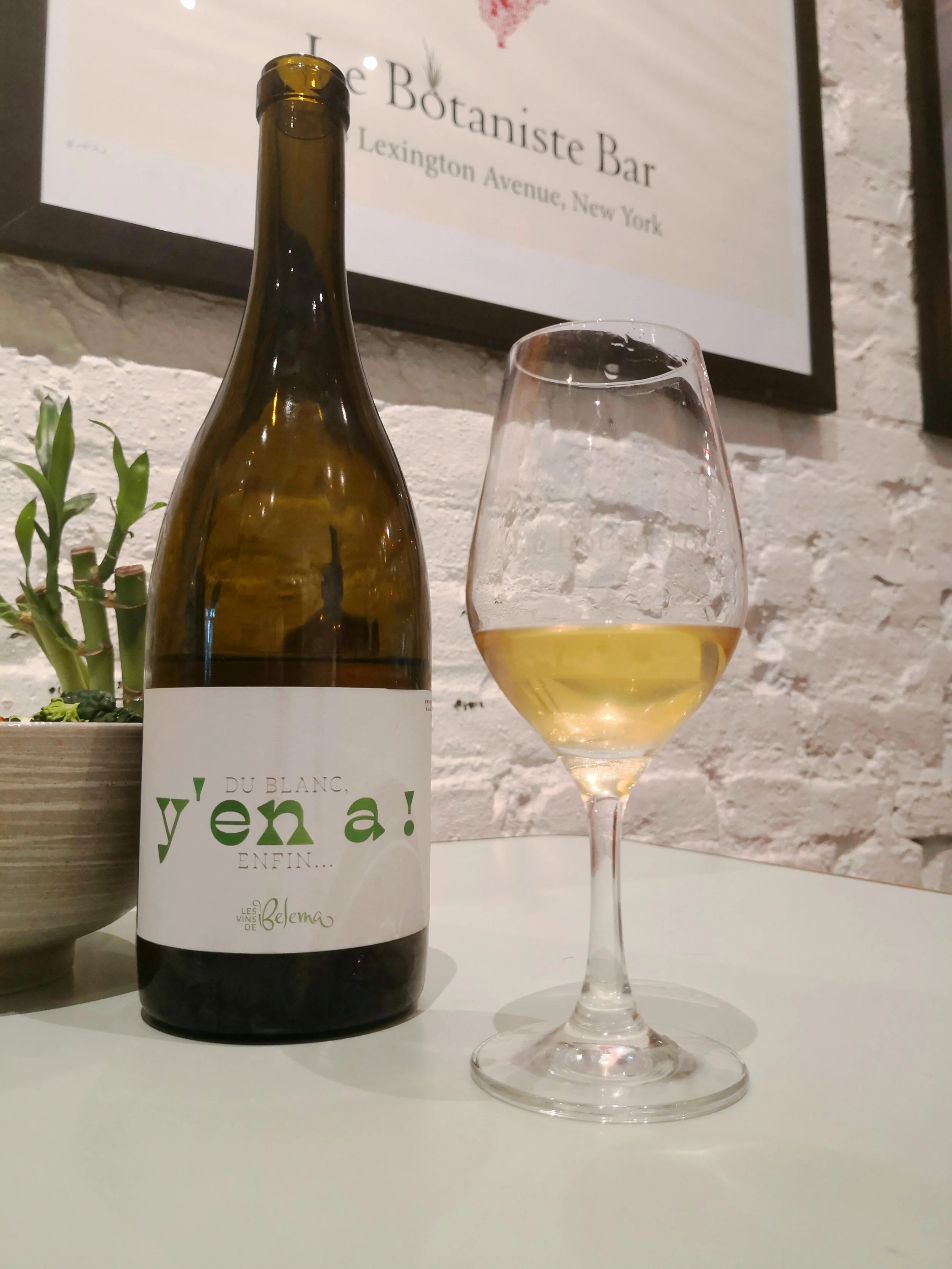 Domaine Belema — Bon Raisin Wines