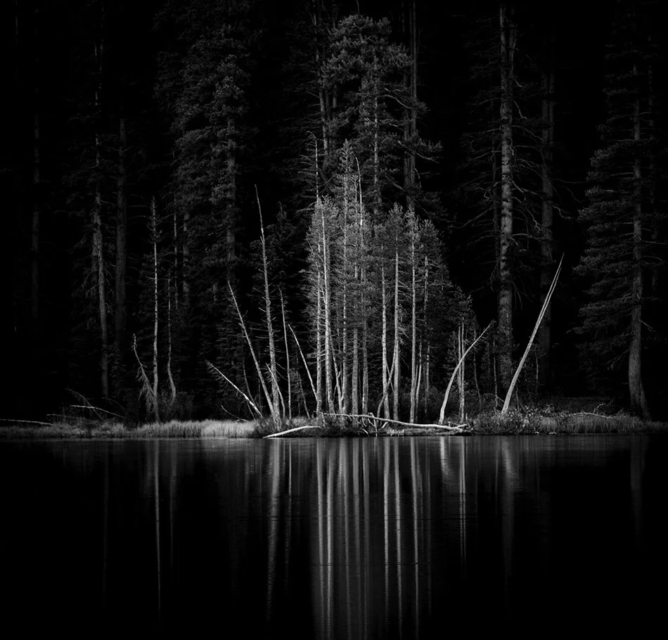 2023 BW Photo Contest Winners — Maryland Photography Alliance