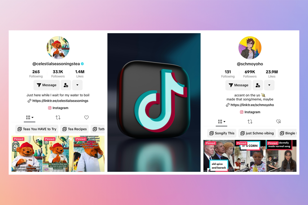 How to Write a Great TikTok Bio — Serve Me the Sky Digital