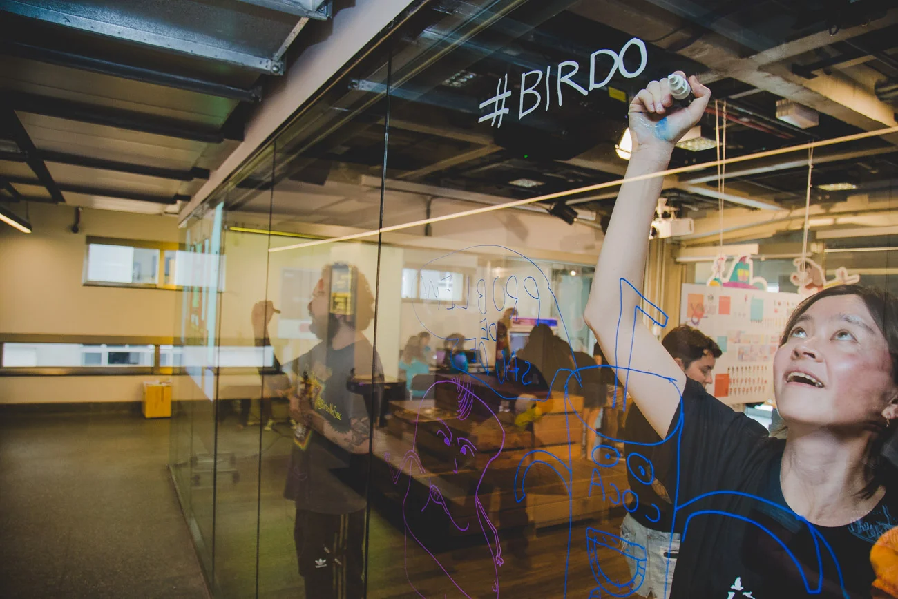 About — Birdo