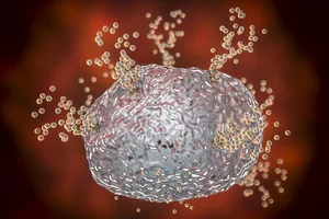 BULLY ON THE BLOCK: MAST CELL ACTIVATION SYNDROME AND ITS IMPLICATIONS ...