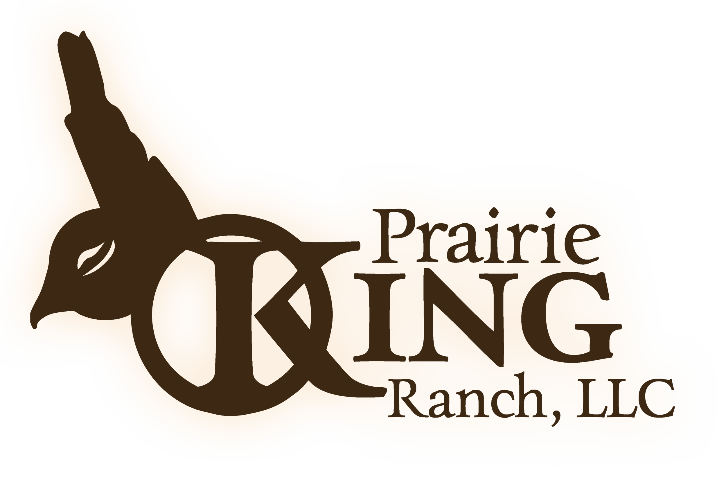 King Ranch Logo