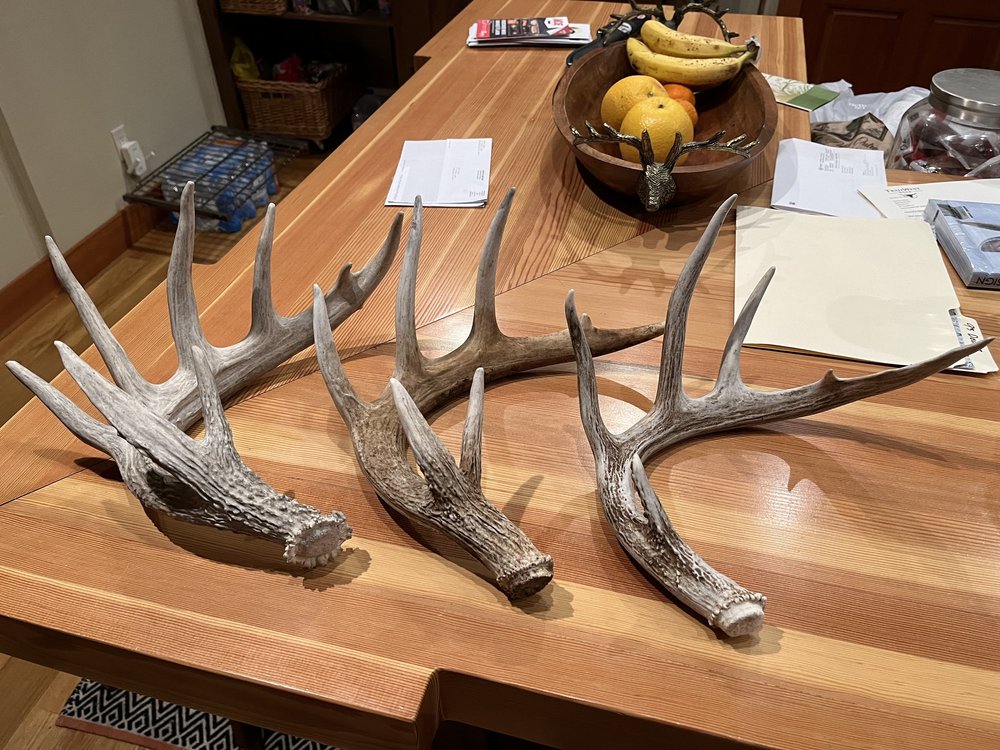 Blog — Prairie King Ranch