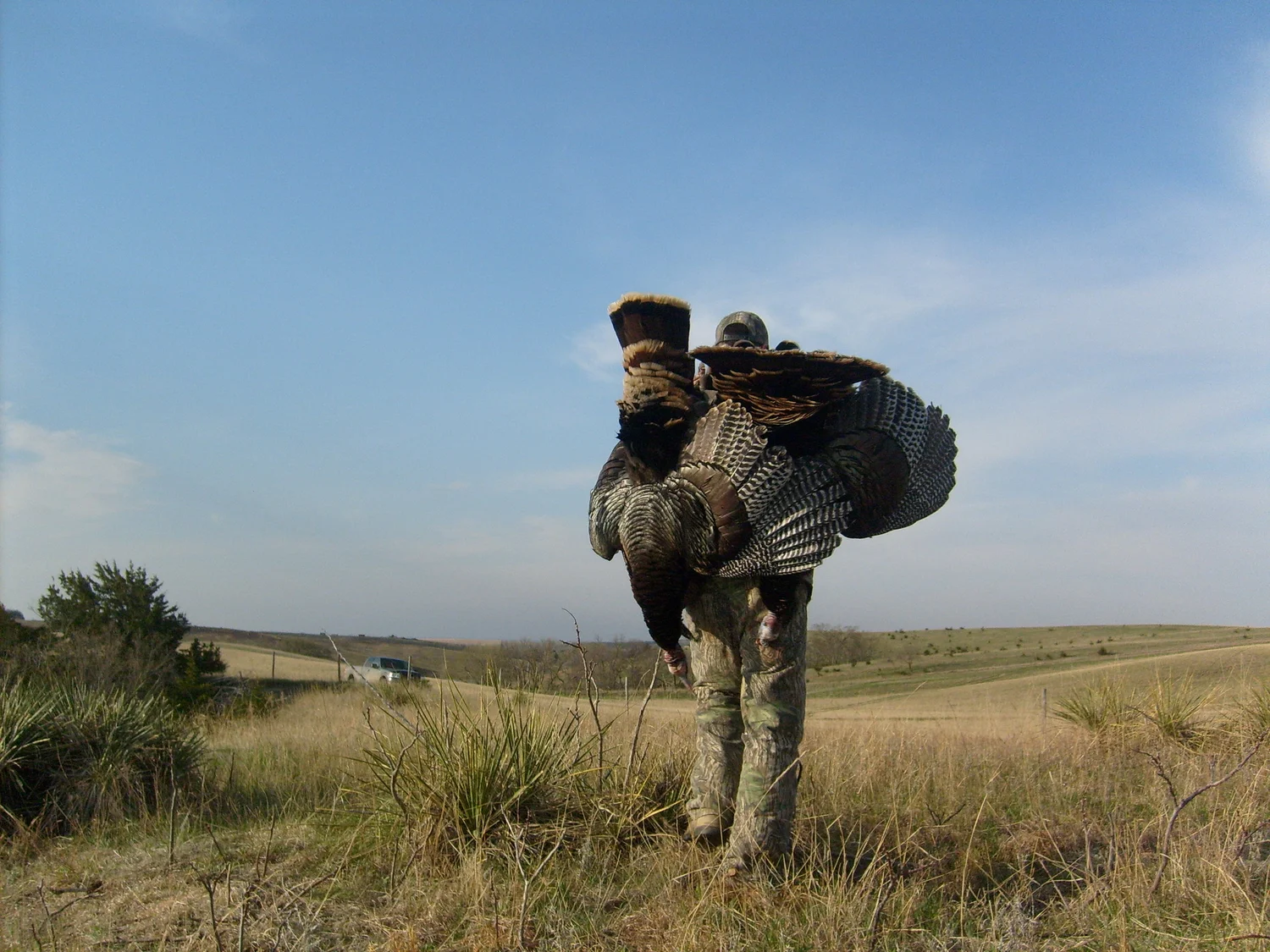 Prairie King Ranch Merriam's Turkey Hunts - Nebraska — Prairie King Ranch