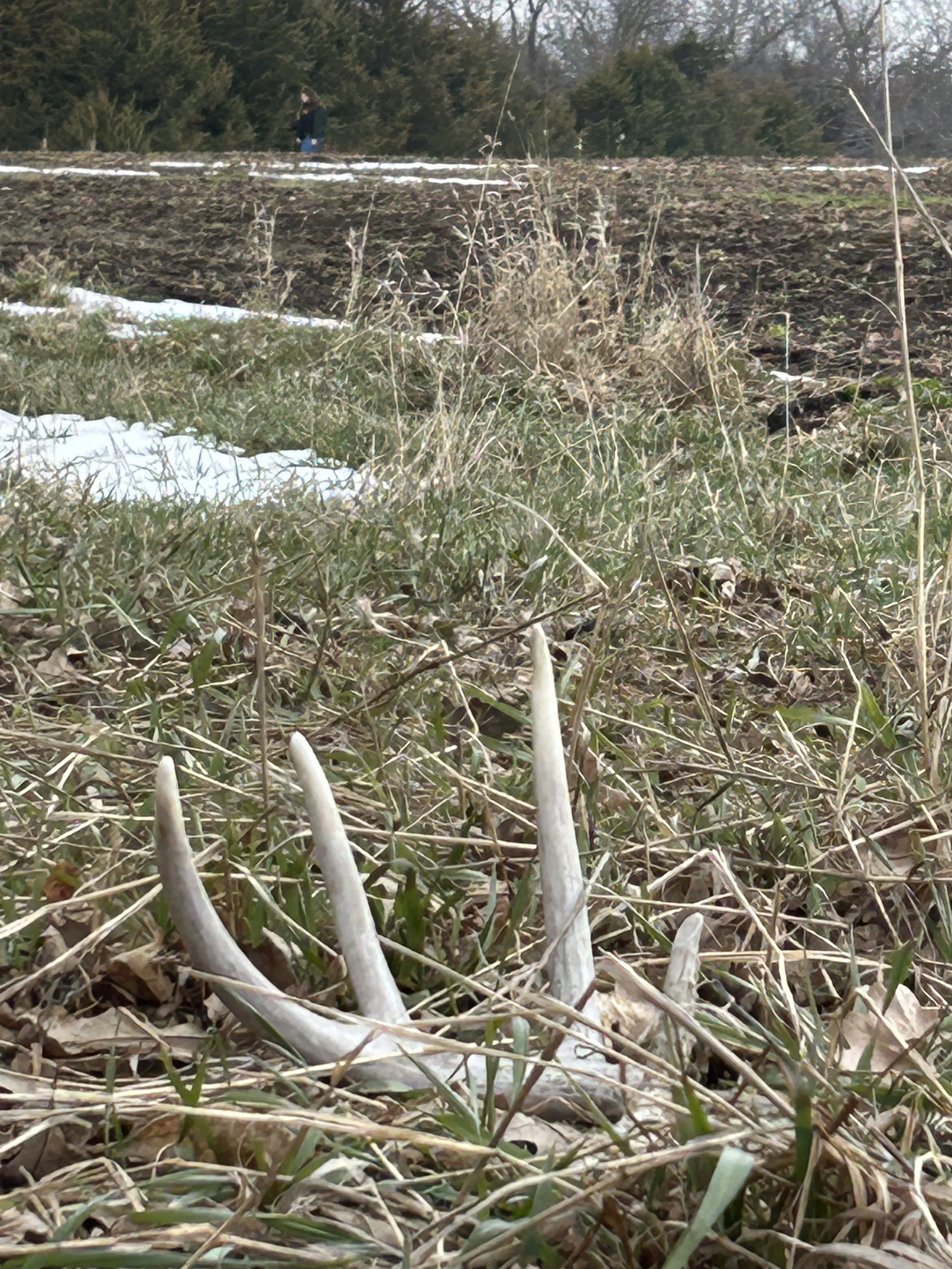 Blog — Prairie King Ranch