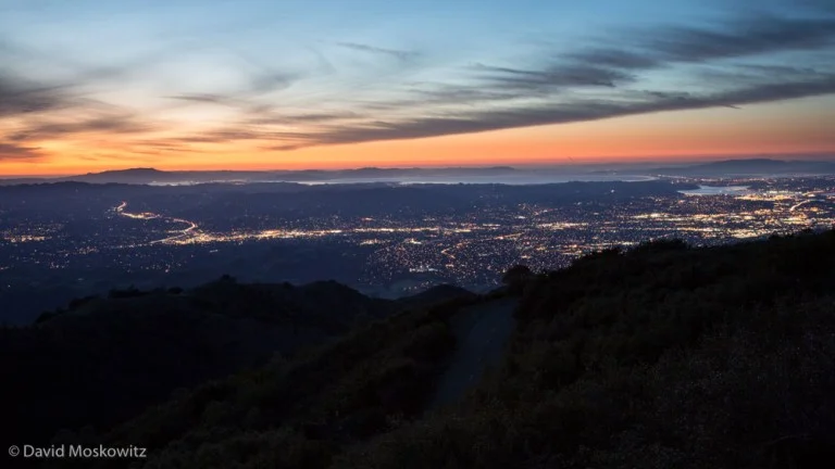 Big Cats, Big Roads, and Beachfront: Out and About with the Santa Cruz ...
