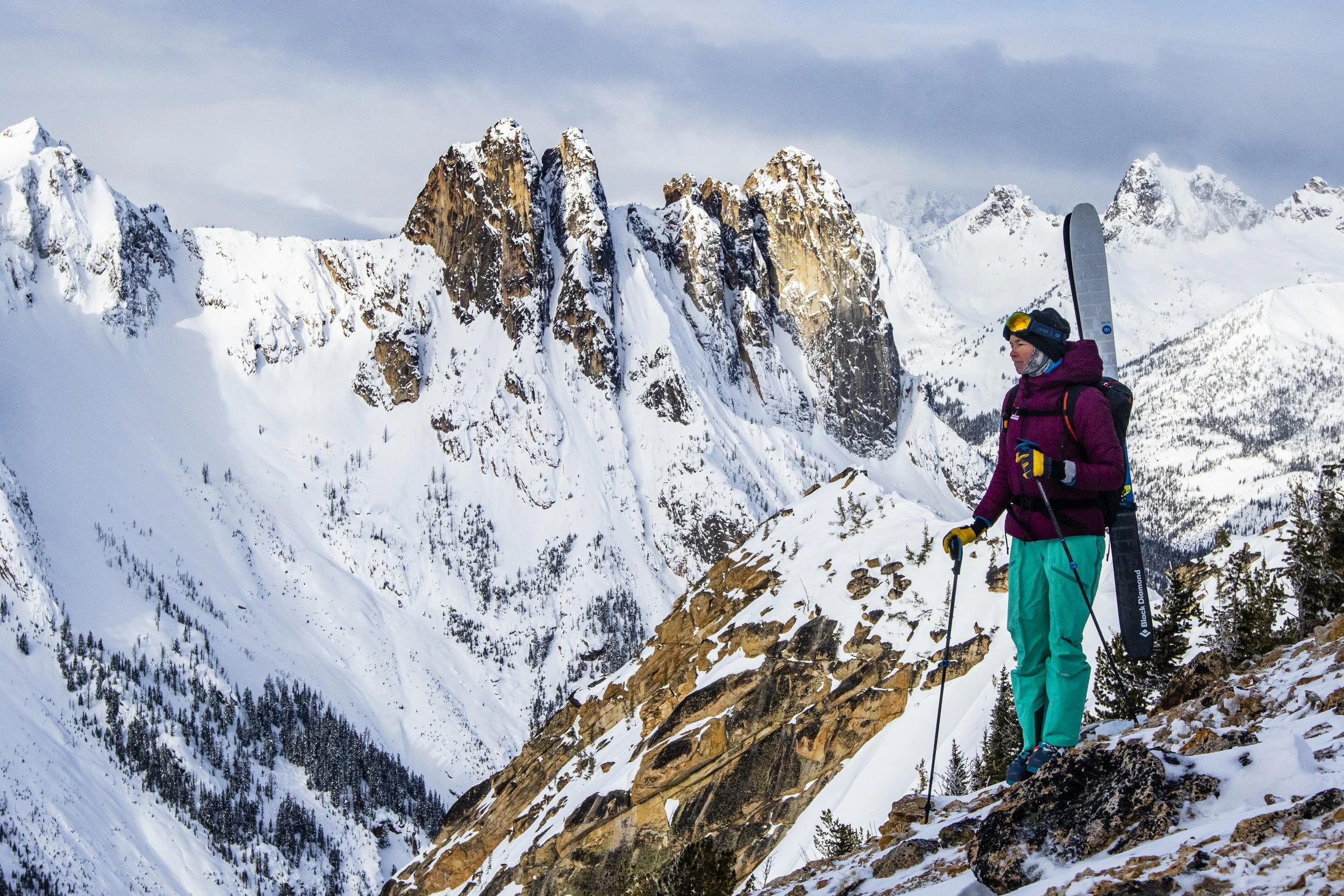 Finding Gulo Film Now Free To Watch Online — David Moskowitz Wildlife Tracking and Photography