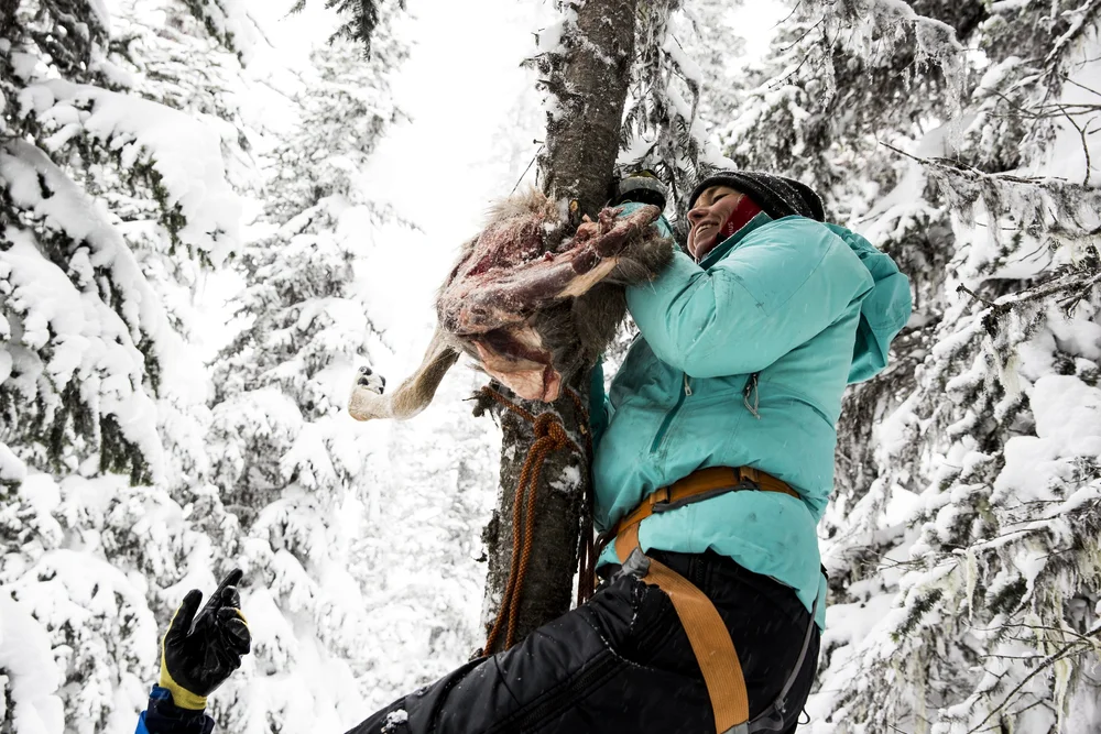 Finding Gulo Film Now Free To Watch Online — David Moskowitz Wildlife Tracking and Photography