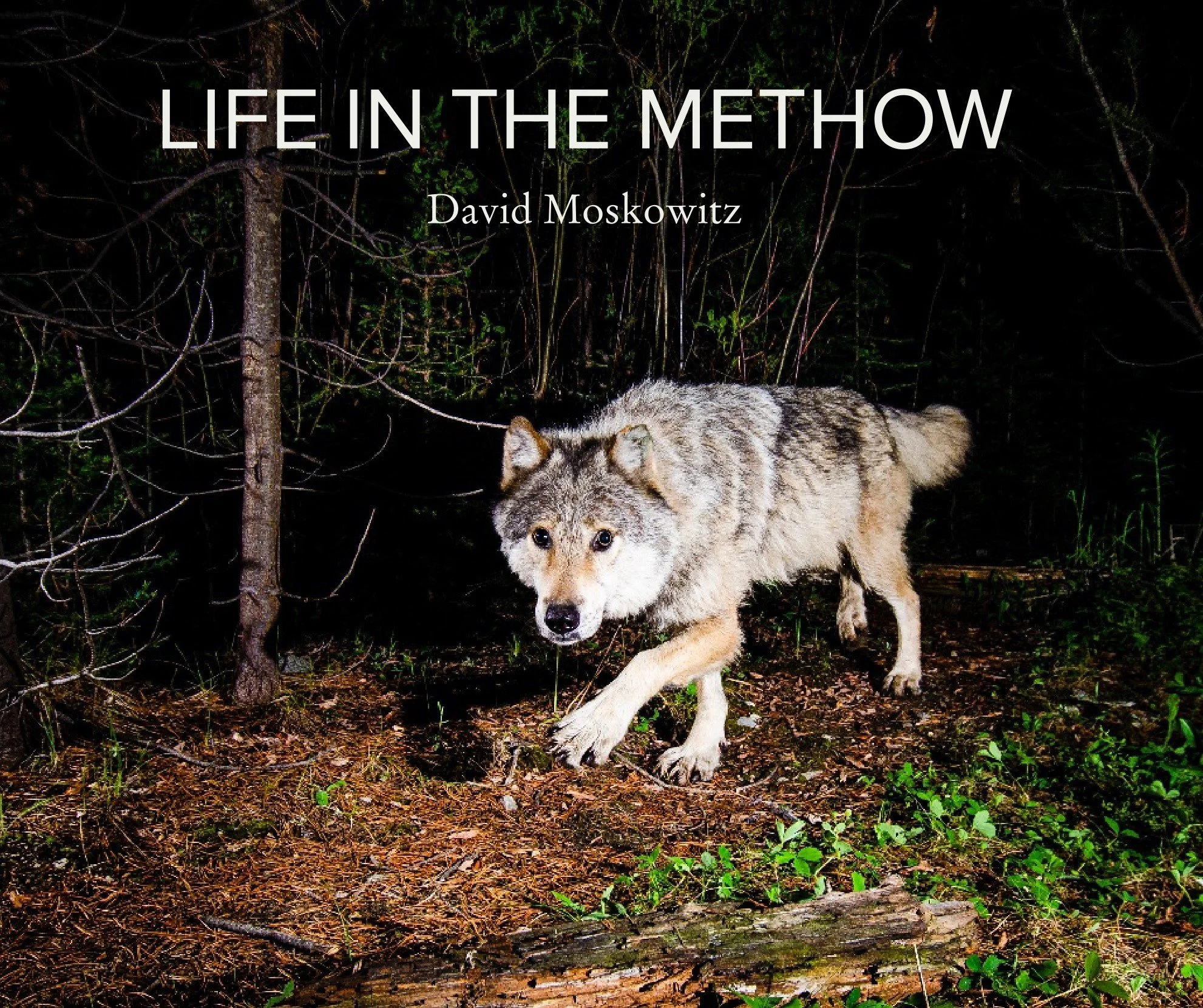 Publications — David Moskowitz Wildlife Tracking and Photography