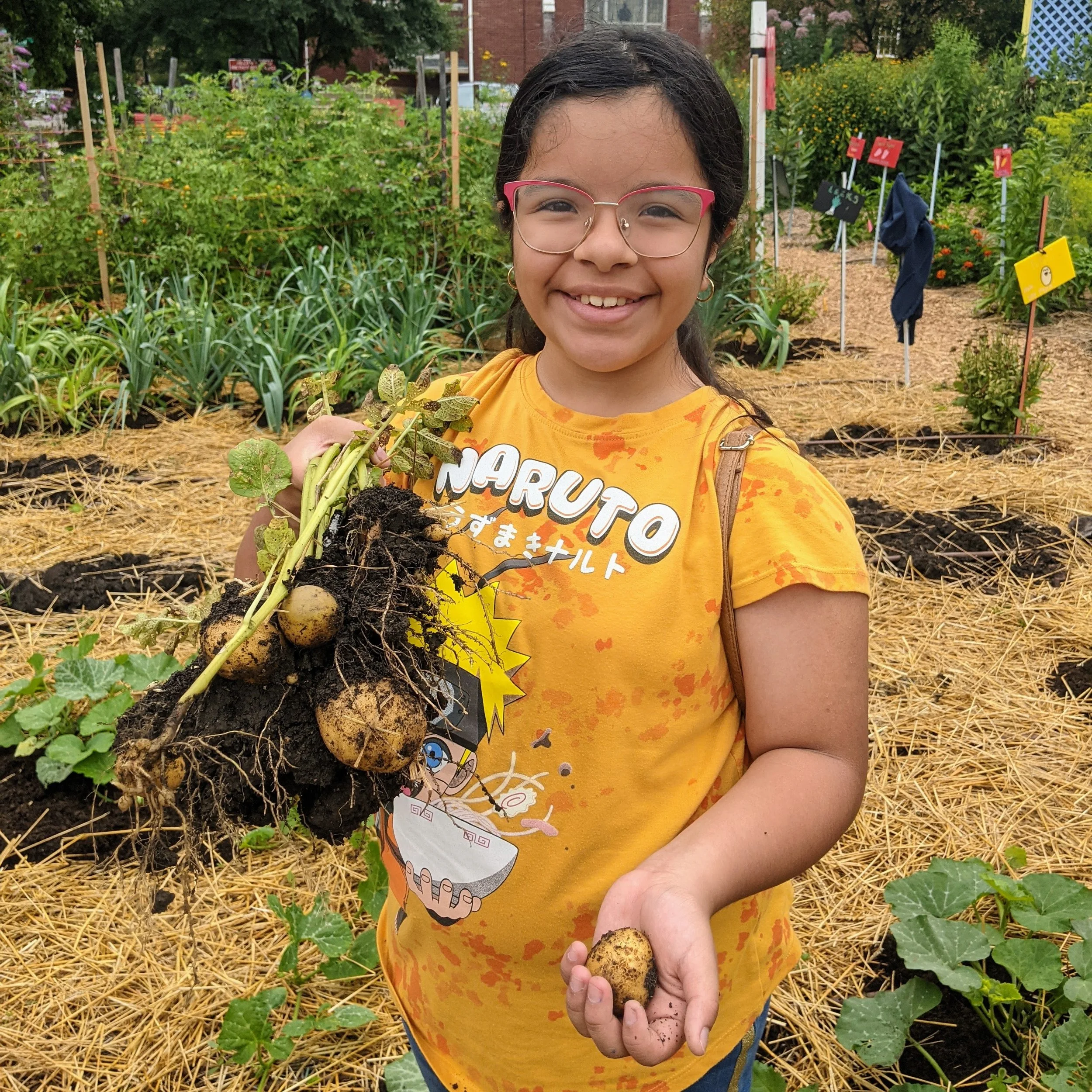 Summer Camp — Highland Youth Garden