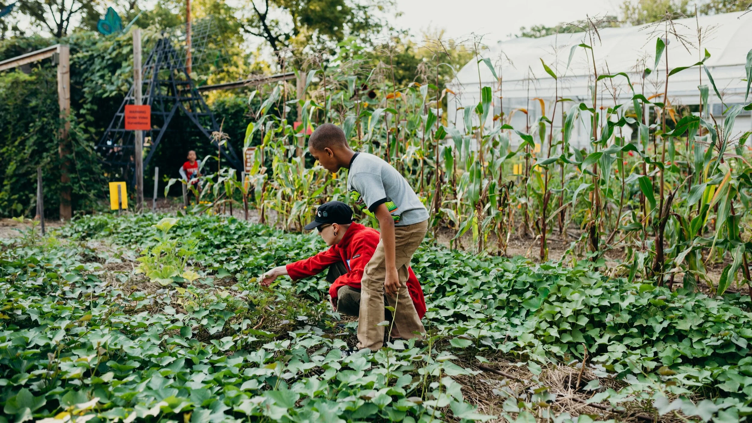 Highland Youth Garden