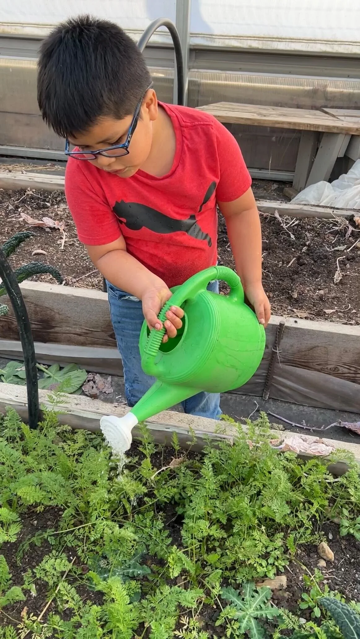 Highland Youth Garden