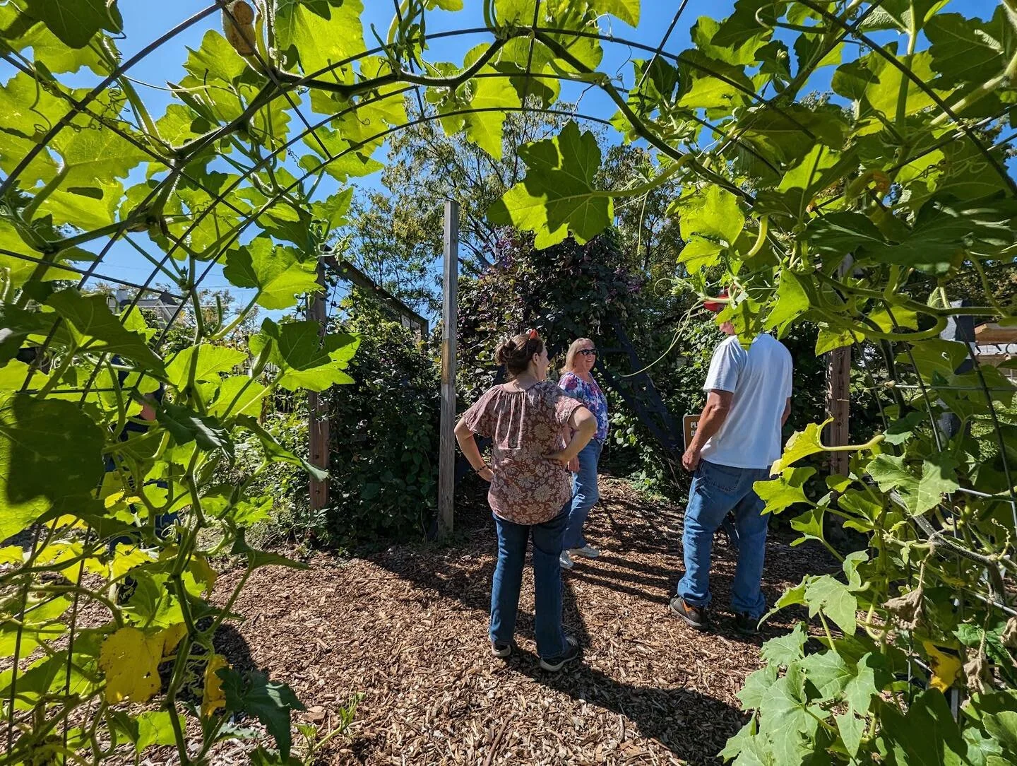 Highland Youth Garden