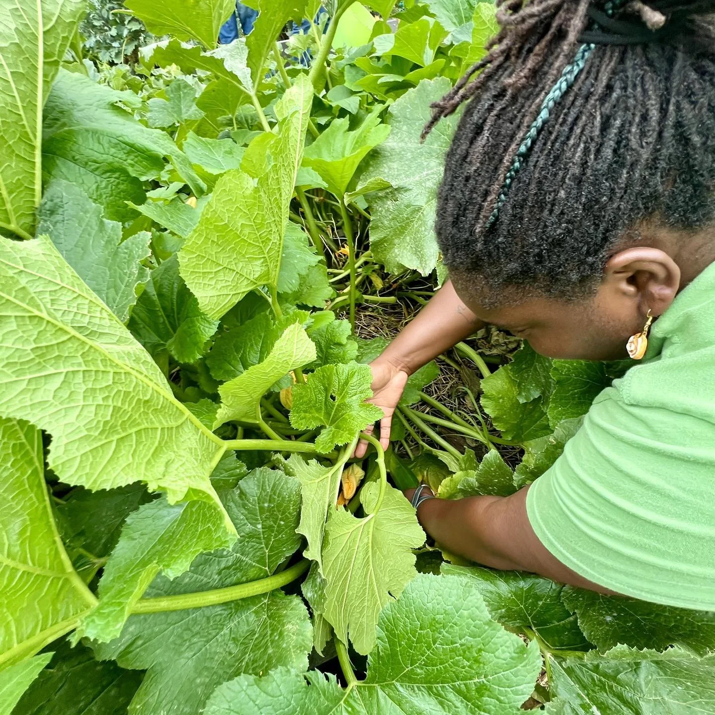 Highland Youth Garden